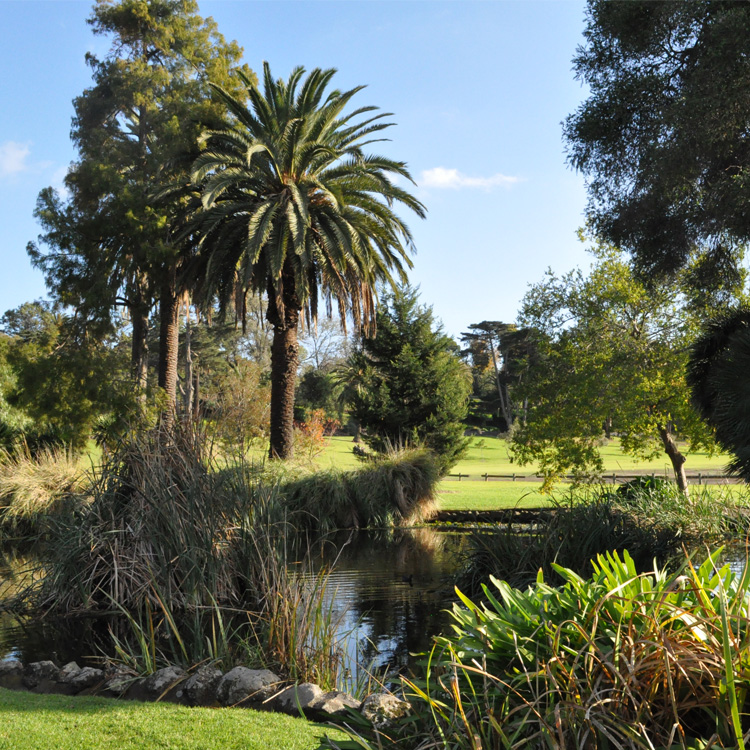 Footscray Park | Your City Your Voice