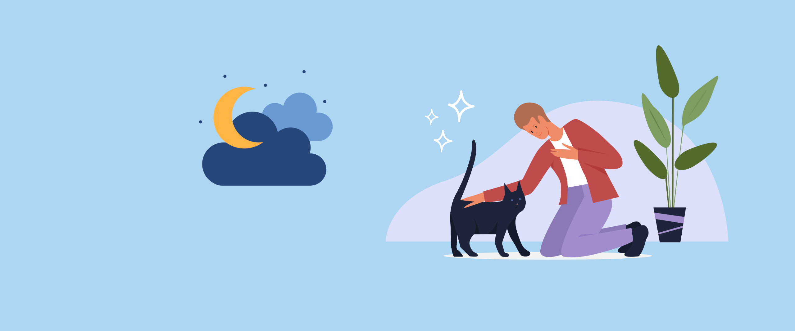 Cat Curfew | Your City Your Voice